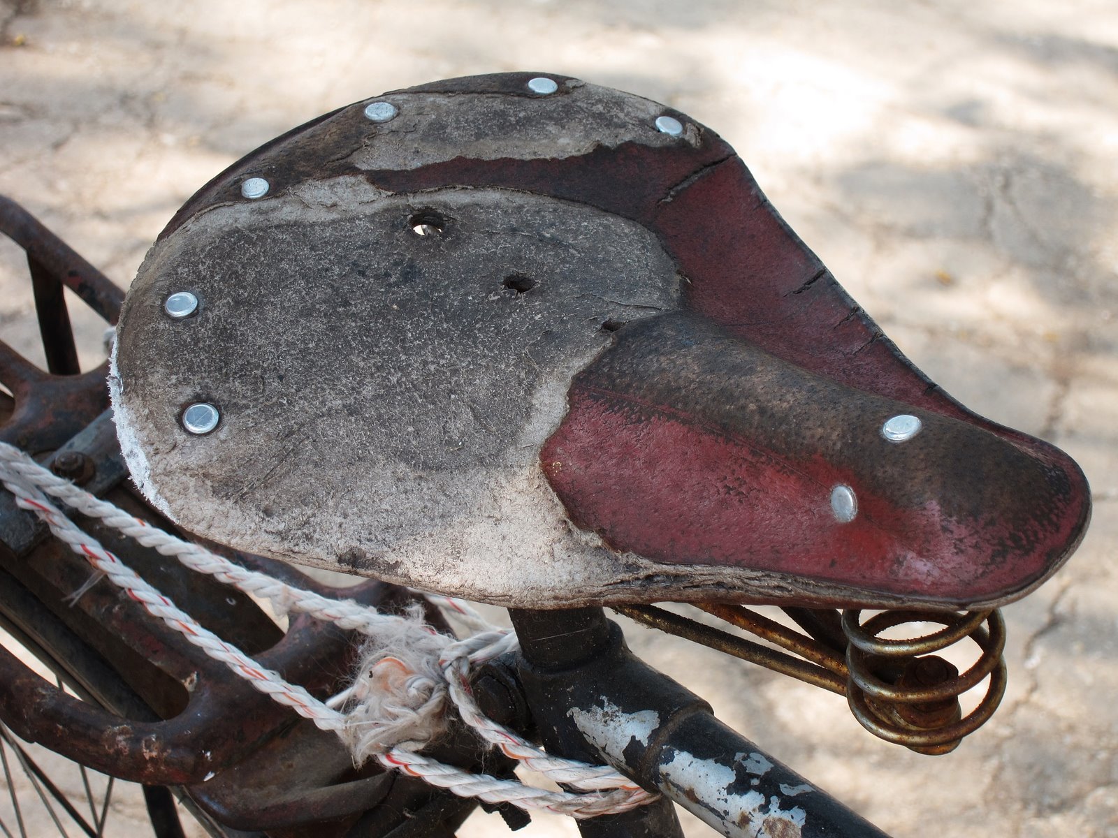 Marea galbena si Oceanul verde. – Life, Adventures and Bikes.