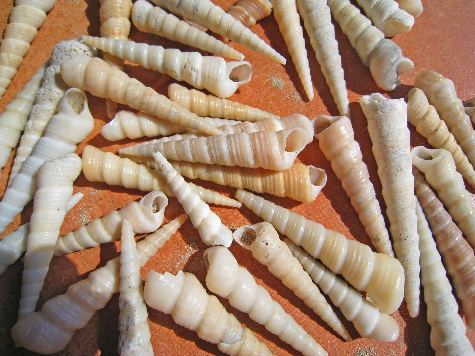 Snow, Kilns, and New Exhibits ⋆ C2C, Art for Everyday Life