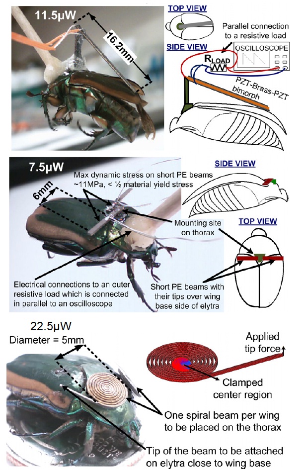 LinkNotes: Cyborg Insects Draw Energy From Wing Motion