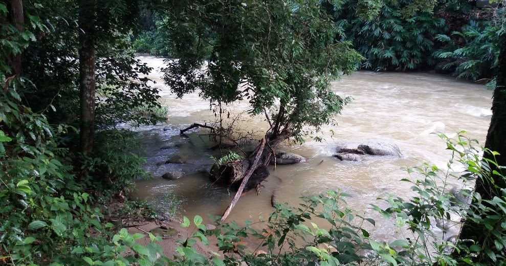 hutan lipur ulu kinta - Austin Pullman