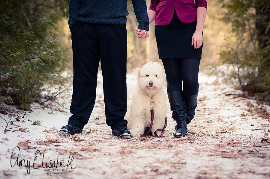 amyelisabethphotography