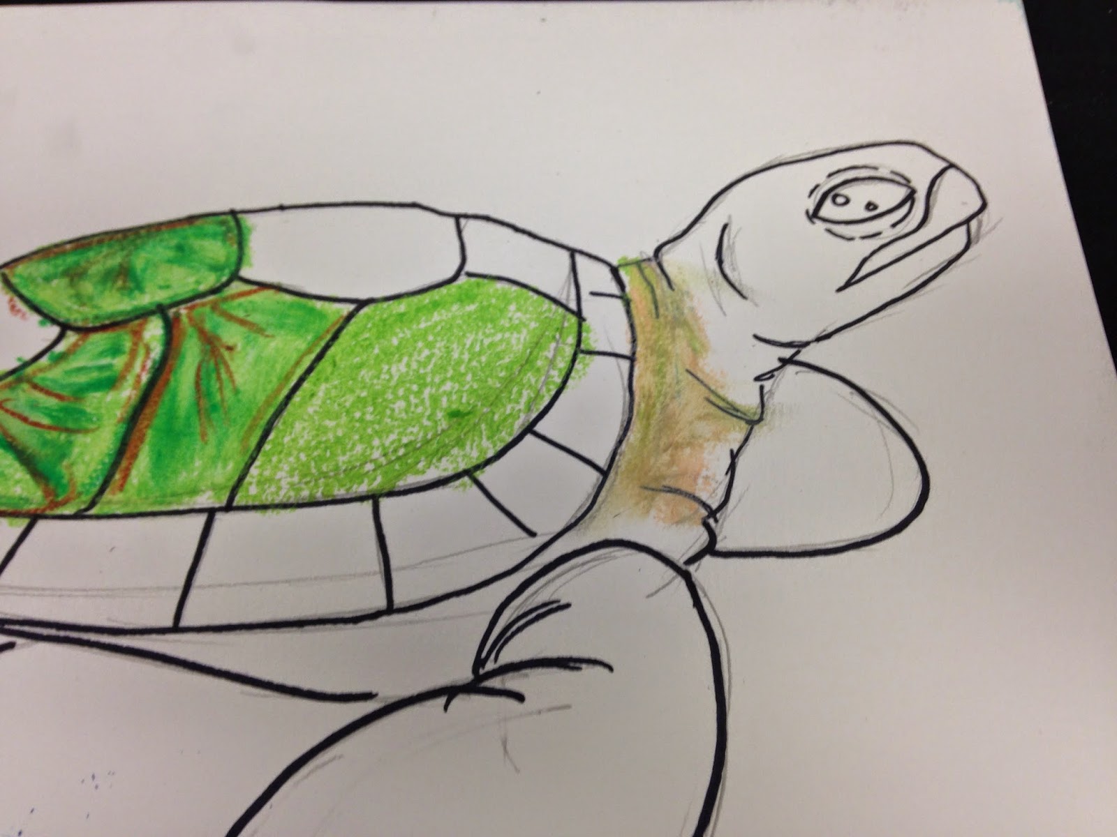 The Art Room: Oil Pastel Sea Turtles (Grades 1-5)