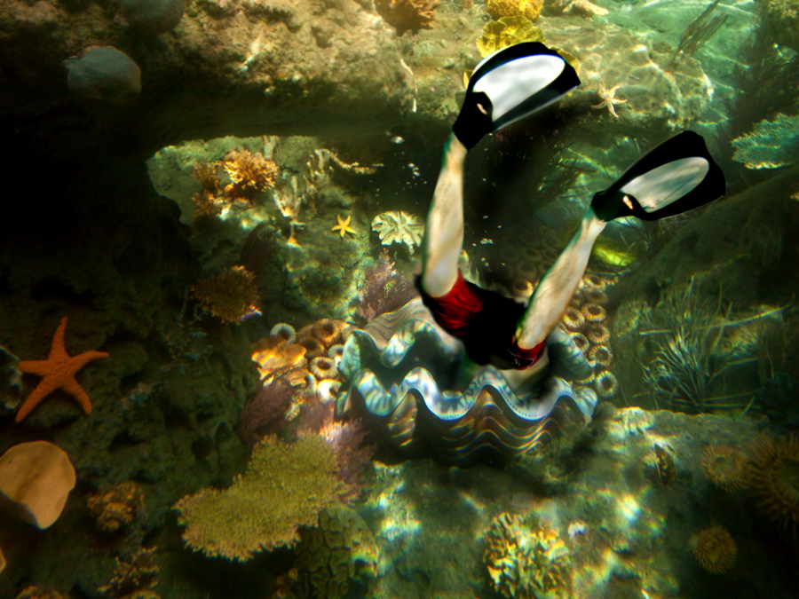 The Adventures of Gill McFinn: Making Mom Happy