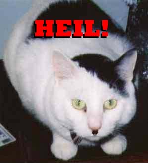 Heil! Hitler Cat! | Funny Cat Pictures