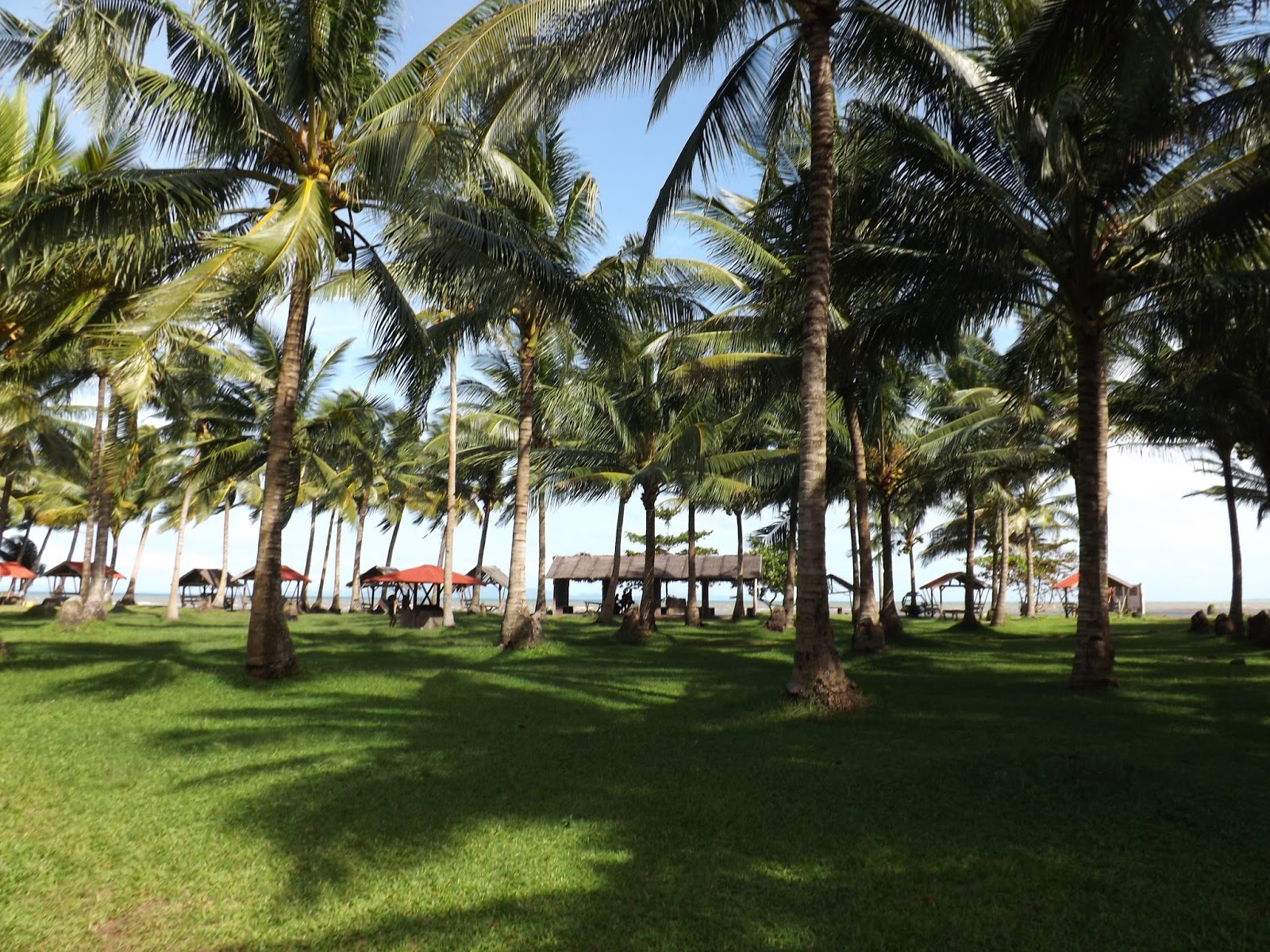 2020: MANAPLA IS MORE THAN JUST PUTO AND PINASUGBO - Touristang Pobre