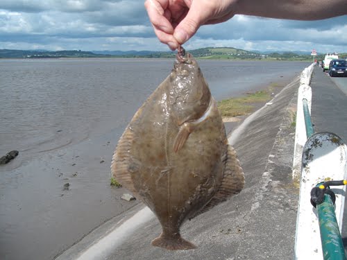 Scotsman in Cumbria: Sandside Sea Fishing
