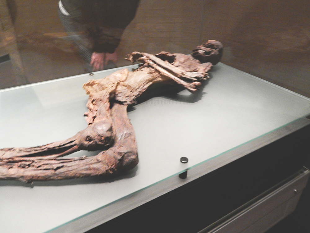 Dublin Adventures | Museums & #IBBAwards - Cardigan Jezebel