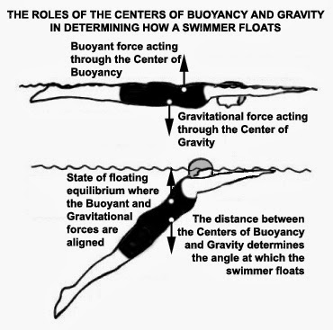 Mrs. Remis' Science Blog - 7th grade: DENSITY & BUOYANCY - MODULE #1