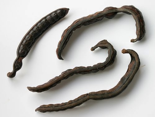 Flora de Puerto Rico Ilustrada Papo Vives: Mimosoideae SAMANEA SAMAN ...