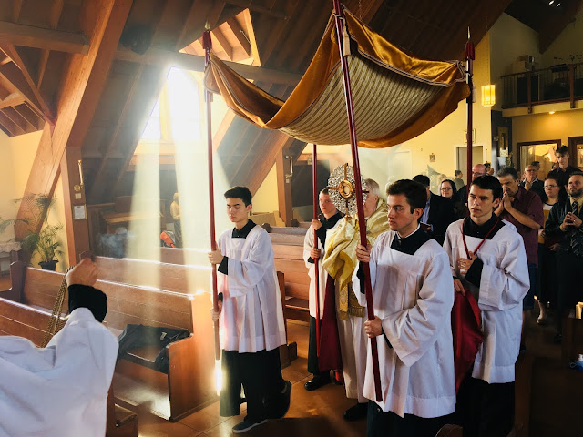 Eucharistic Devotions and the Revival of the Processional Canopy ...