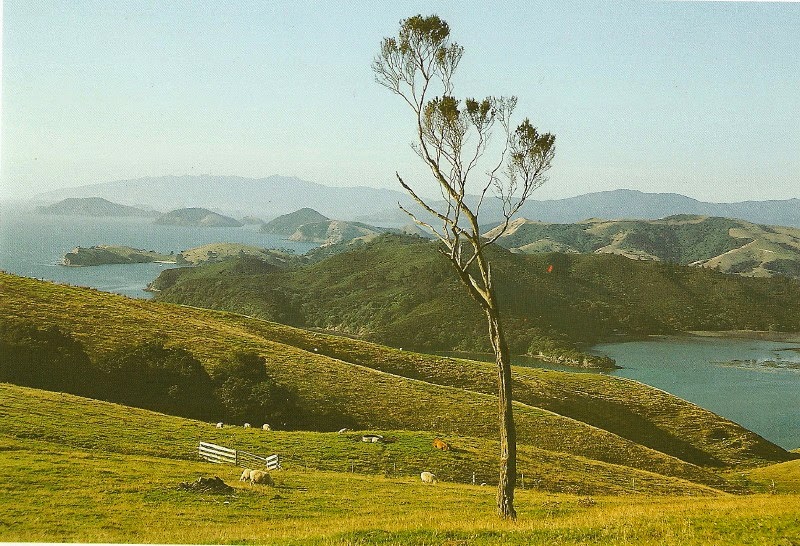 Carole's Chatter: Robin Morrison – photographer