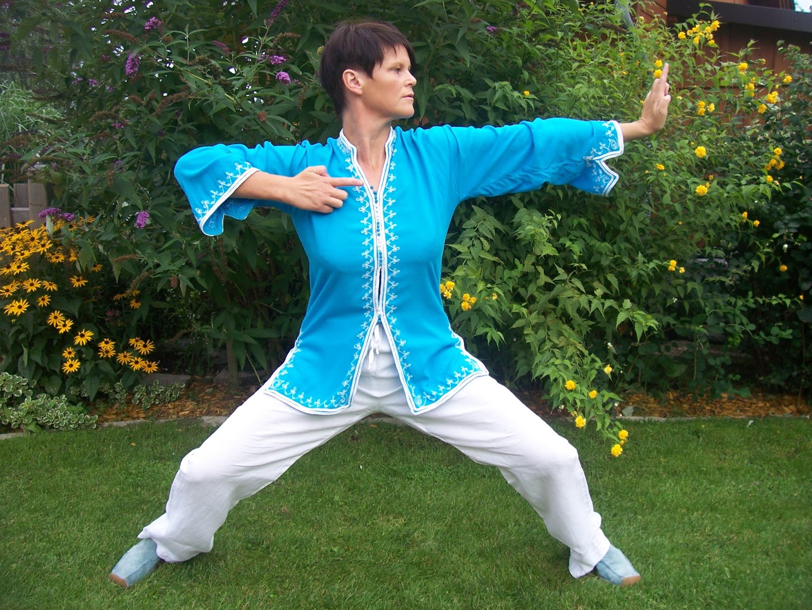 Shaolin Qigong Linz: 2017