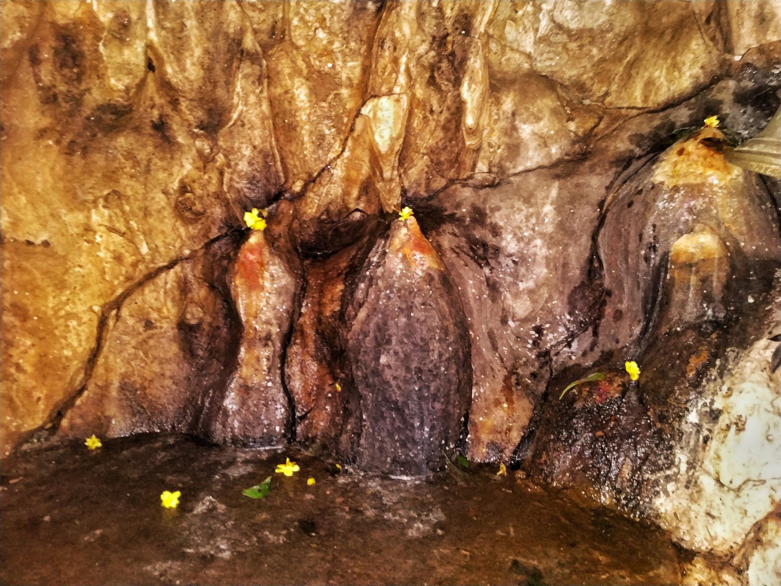 Karol Tibba Trek (Dhedghrat)