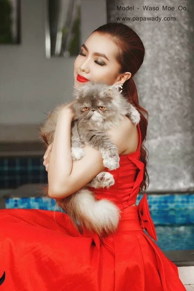 Waso Moe Oo Photoshoot with Kitty and Puppy