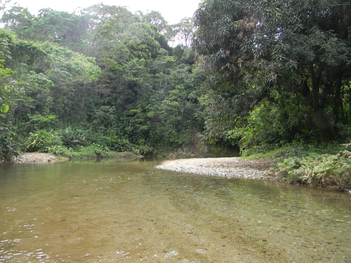 ESTADO VARGAS: octubre 2016