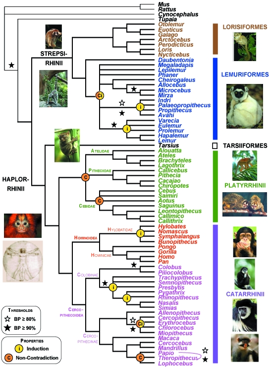 Evolutionary Vertebrate Zoology: Evoluční specialisti na planetě ...