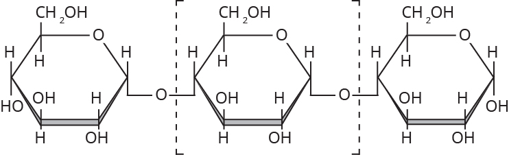 Macam-macam Karbohidrat Beserta Sifat-sifatnya | ezy blog