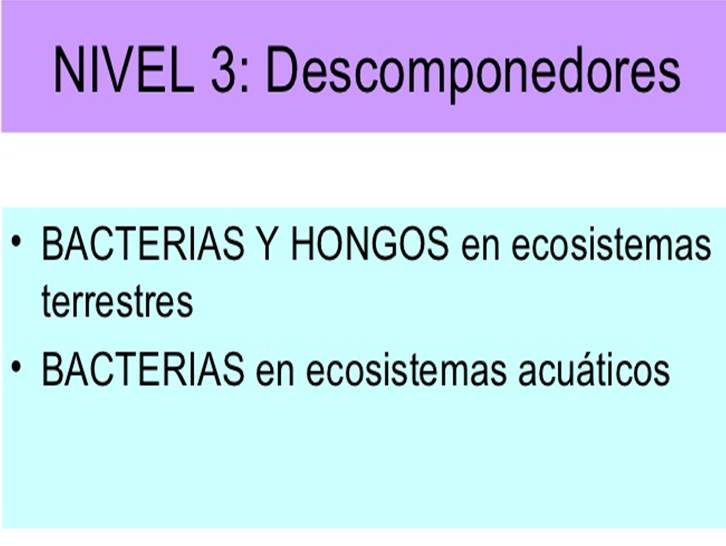 Biología: la ciencia de la vida