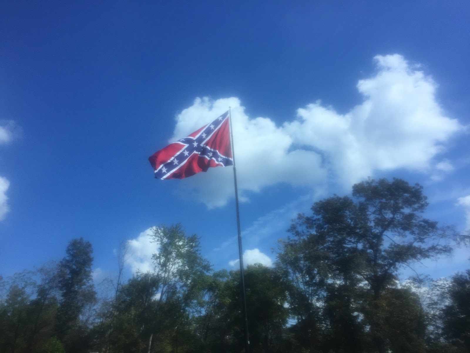 The Virginia Flaggers: Confederate Battle Flags Returning Across the ...