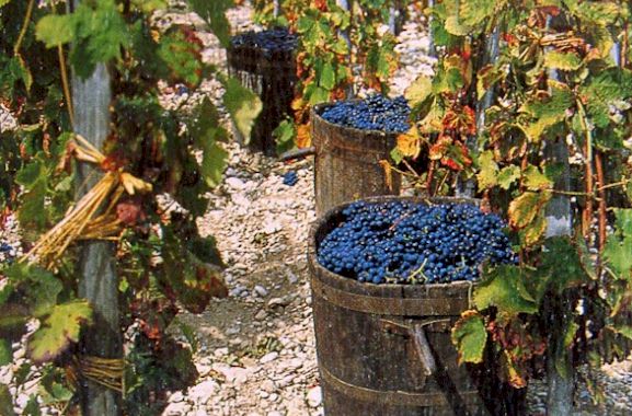 An exceptional vintage is predicted for Chianti Classico 2015