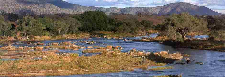 THE GREAT RUAHA RIVER - IRINGA TANZANIA