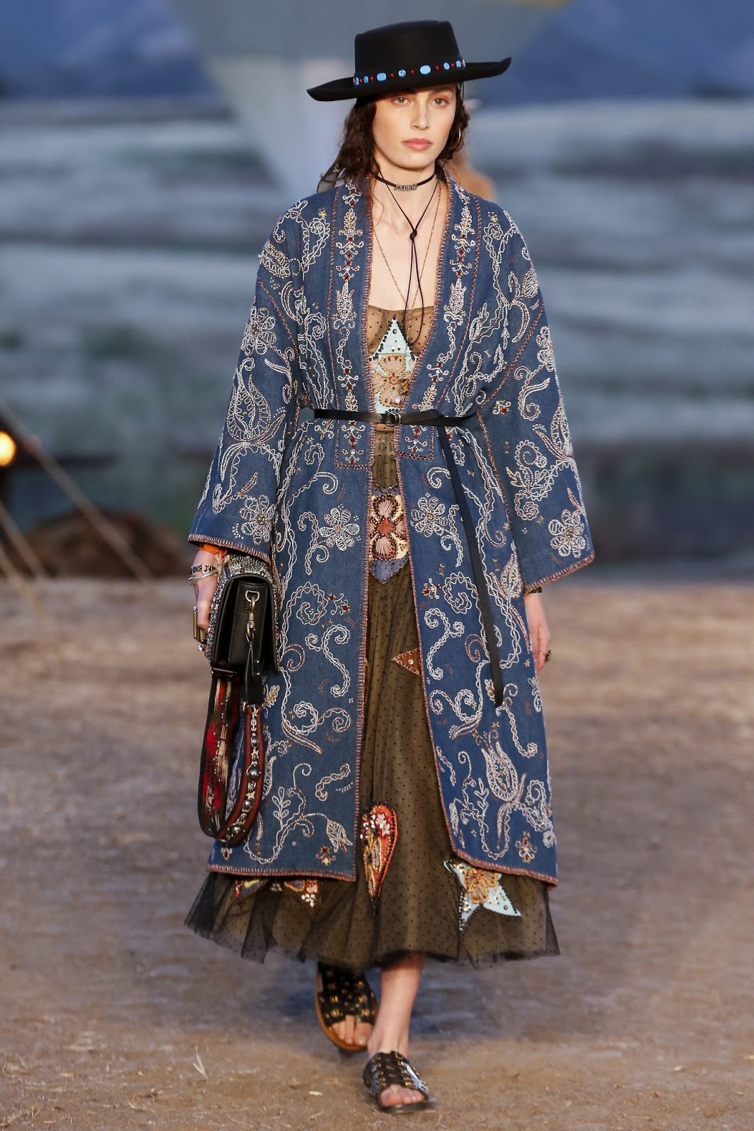 Kass läks üle silla: Diori metsik-metsik lääs