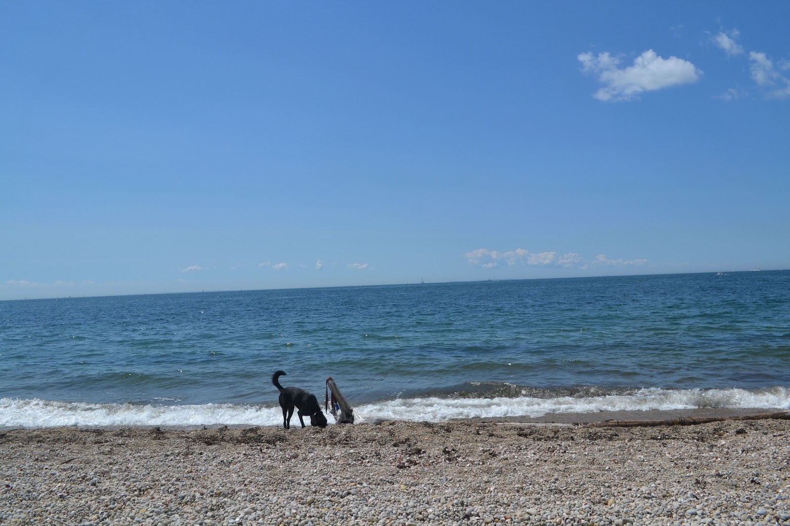Katie Wanders : Bluff Point State Park- Groton, Connecticut