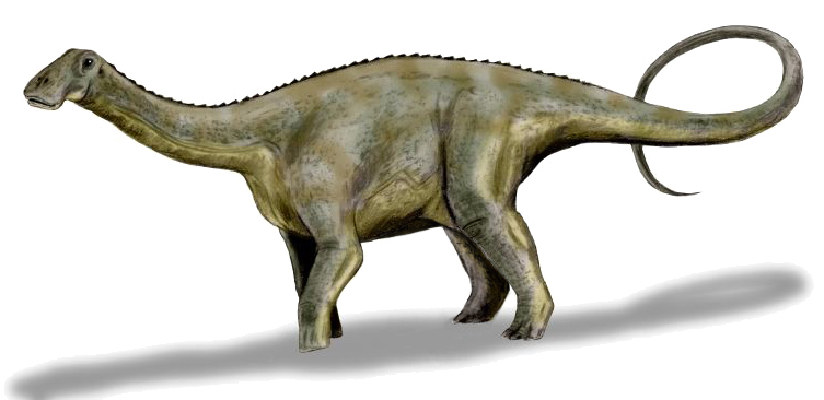 La Tierra De Los Dinosaurios: NIGERSAURUS TAQUETI