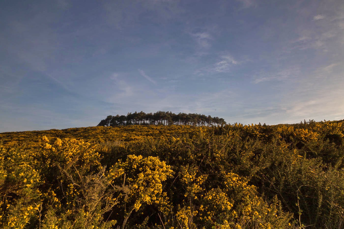 Moore Photography: The Bromlow Callow, Shropshire