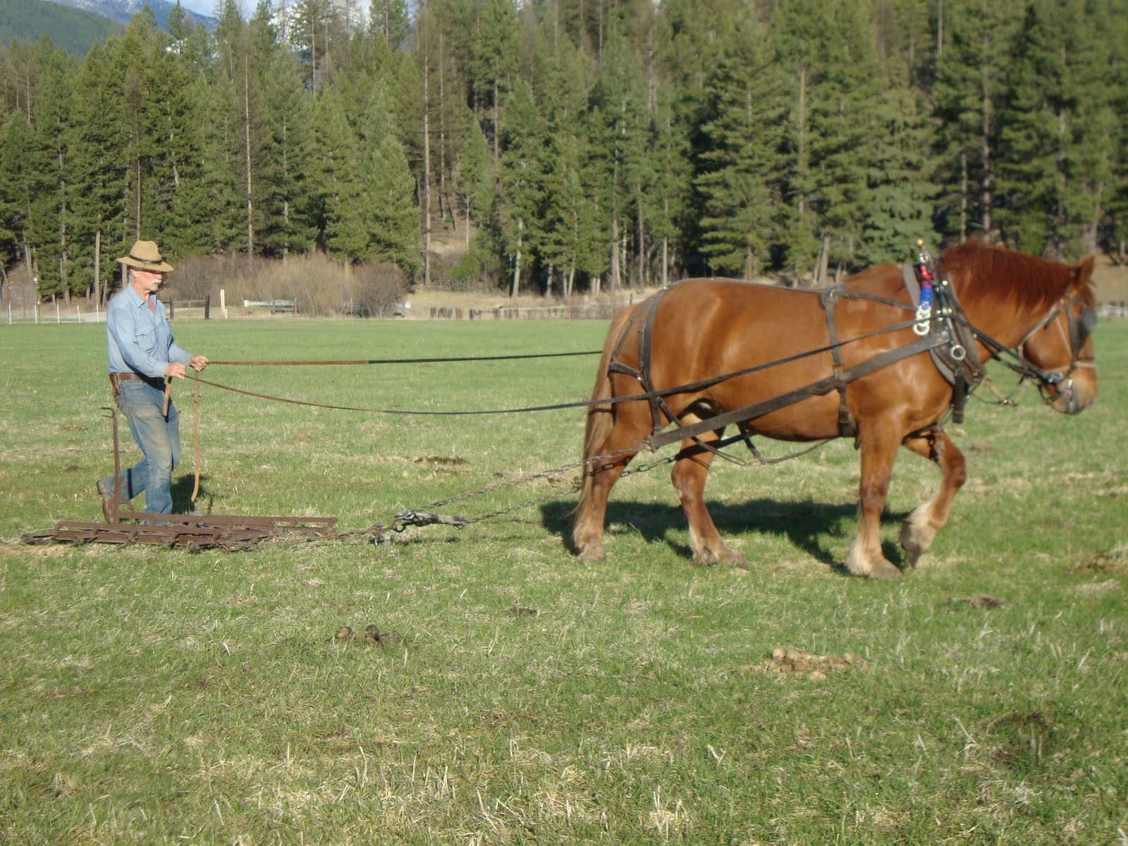 Doc Hammill Horsemanship Videos and Workshops: Horse Powered Farm Work ...