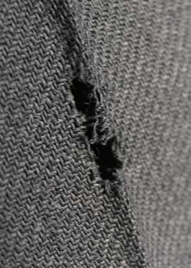 Garment Care: Clothing Insect Damage