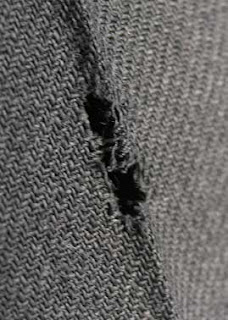 Garment Care: Clothing Insect Damage