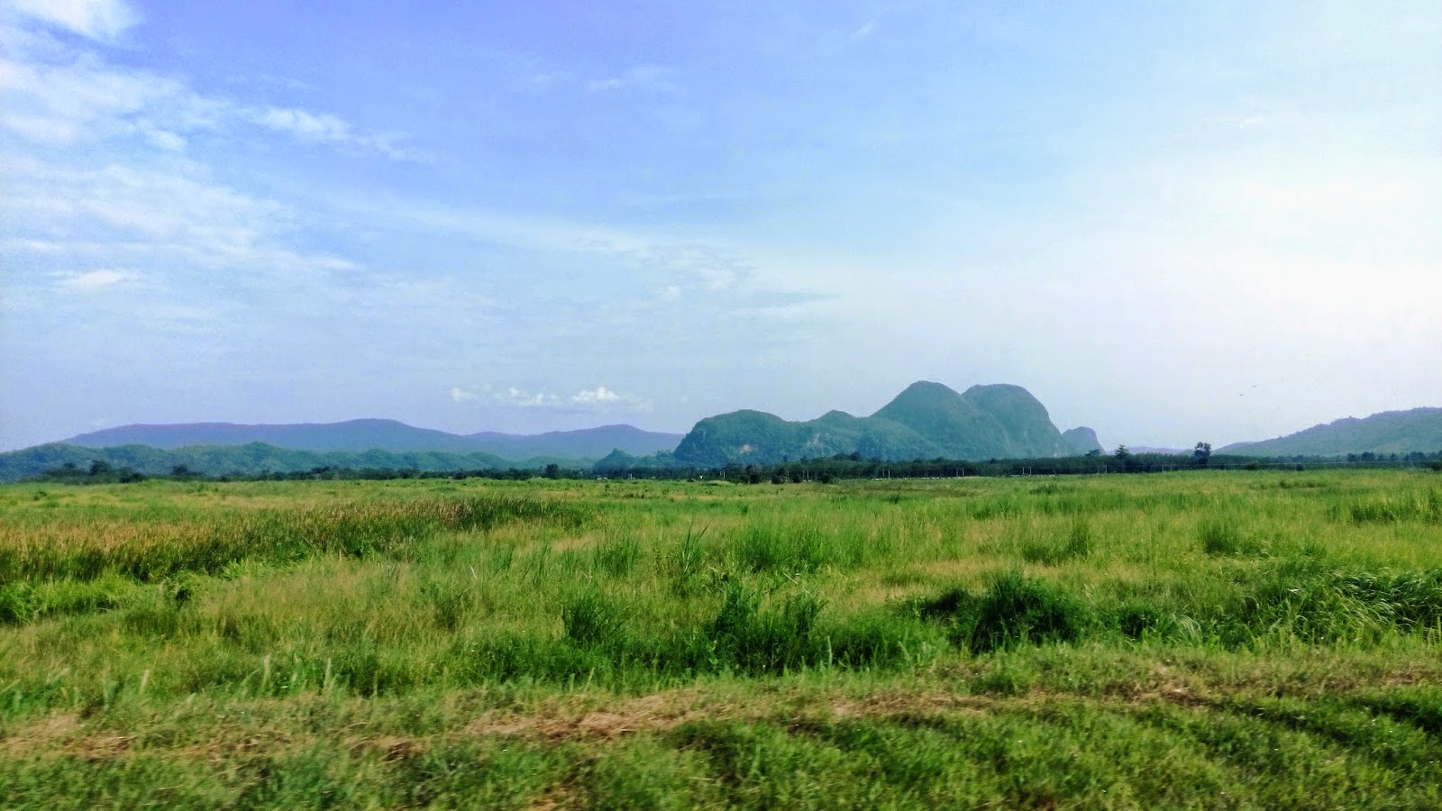 WANDERLUST DJ: VMY2014 : Utagha Trip Day 4.1 : Ladang Tebu Chuping ...