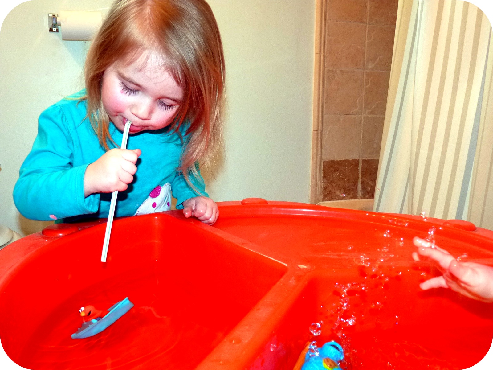 My Oatmeal Kisses: Sid the Science Kid Wind Experiments