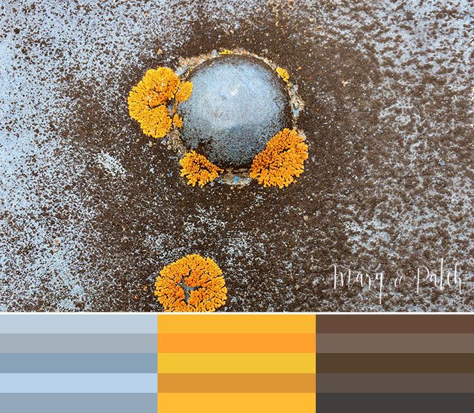 How to find color inspiration and how to use it! | Mary & Patch