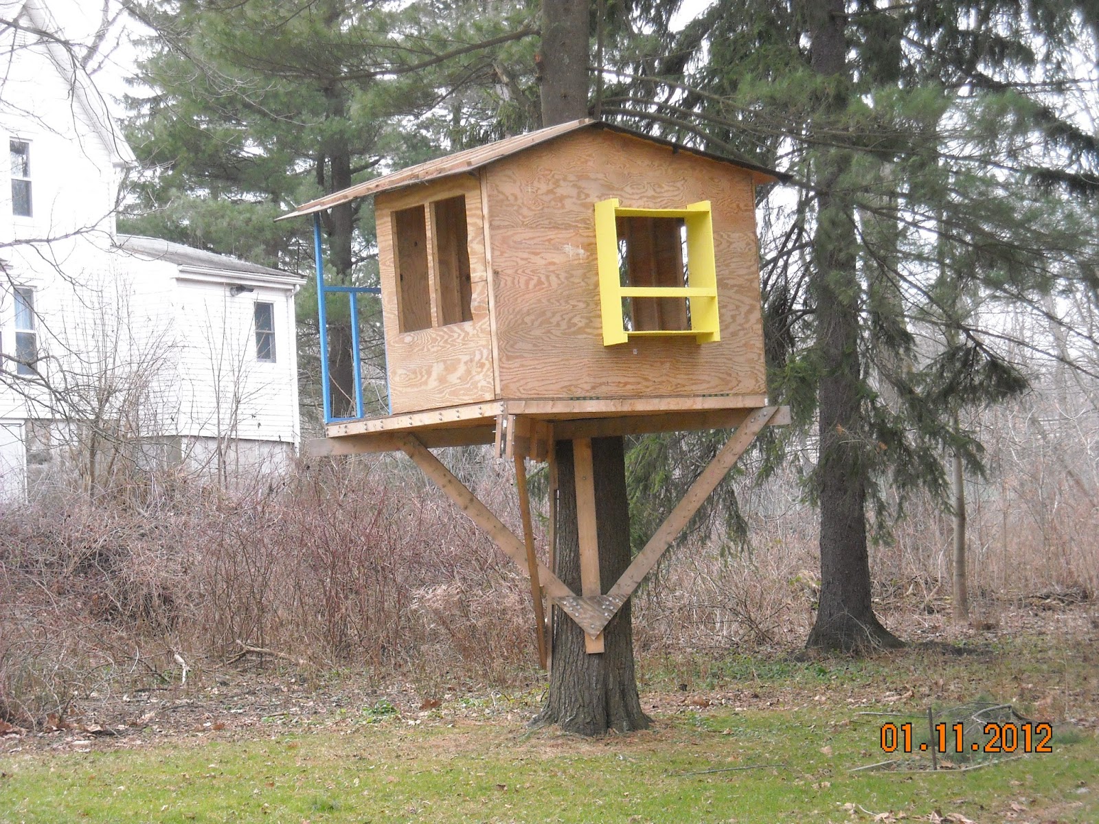 100 Tree House Design Ideas | Alexander Gruenewald