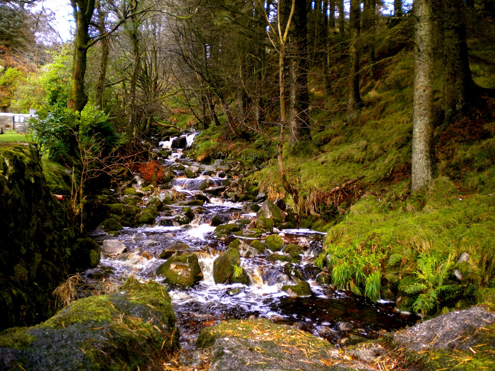 Tales of Nell's Excellent Budapest Adventure: The Best for Last: To ...