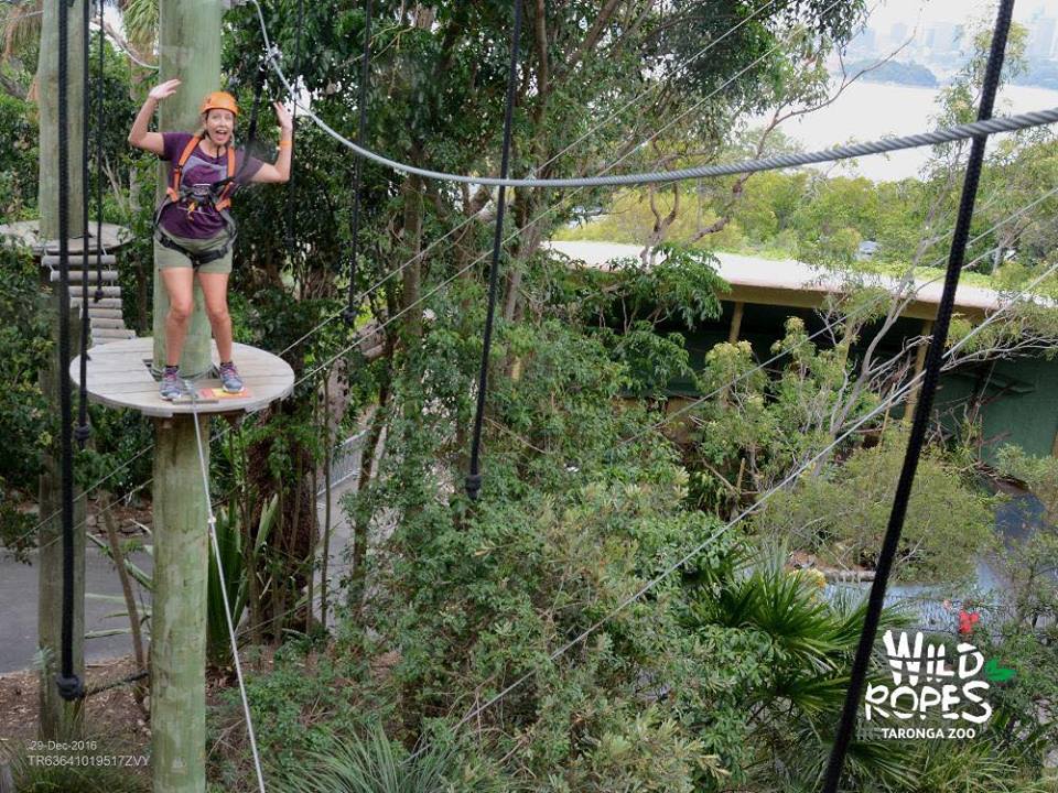 TexErin-in-SydneyLand: Wild Ropes at Taronga