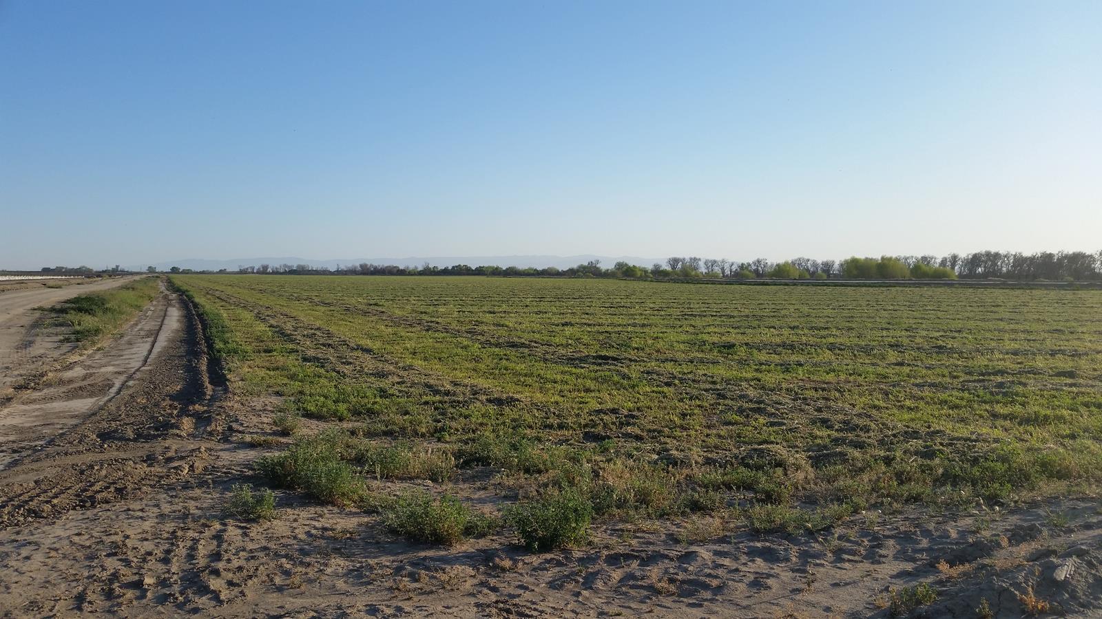 Sustainable Ag: A View from the Field: Fallowing Fields to Stay Afloat ...