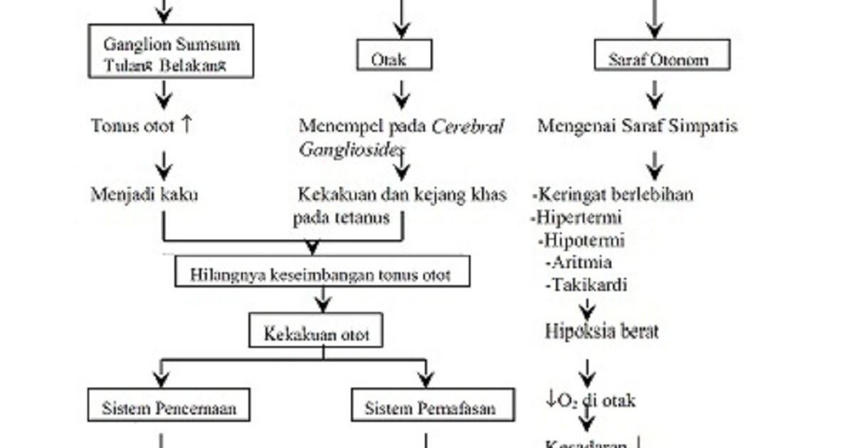 FIRWAN TEAMPACOOL: LAPORAN PENDAHULUAN TETANUS