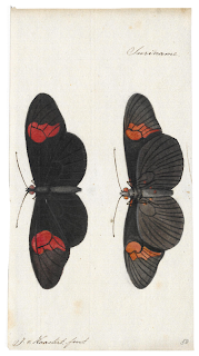 Zibi Vintage Scrap: Motylek