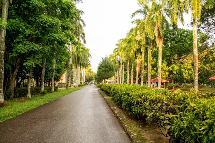 A Free Soul Talks: Memories at Japura (Sri Jayawardenapura University)