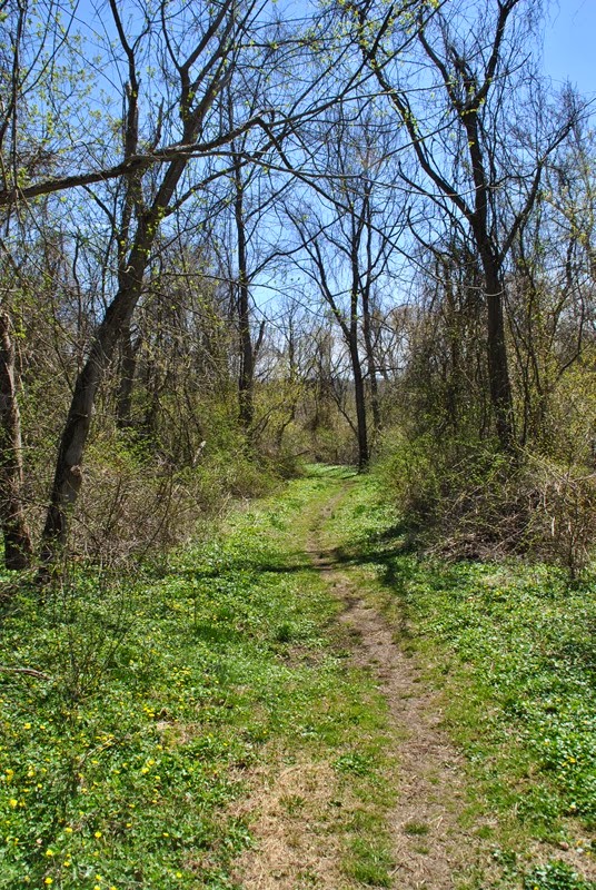 Southeastern PA Hiking: Binky Lee Preserve