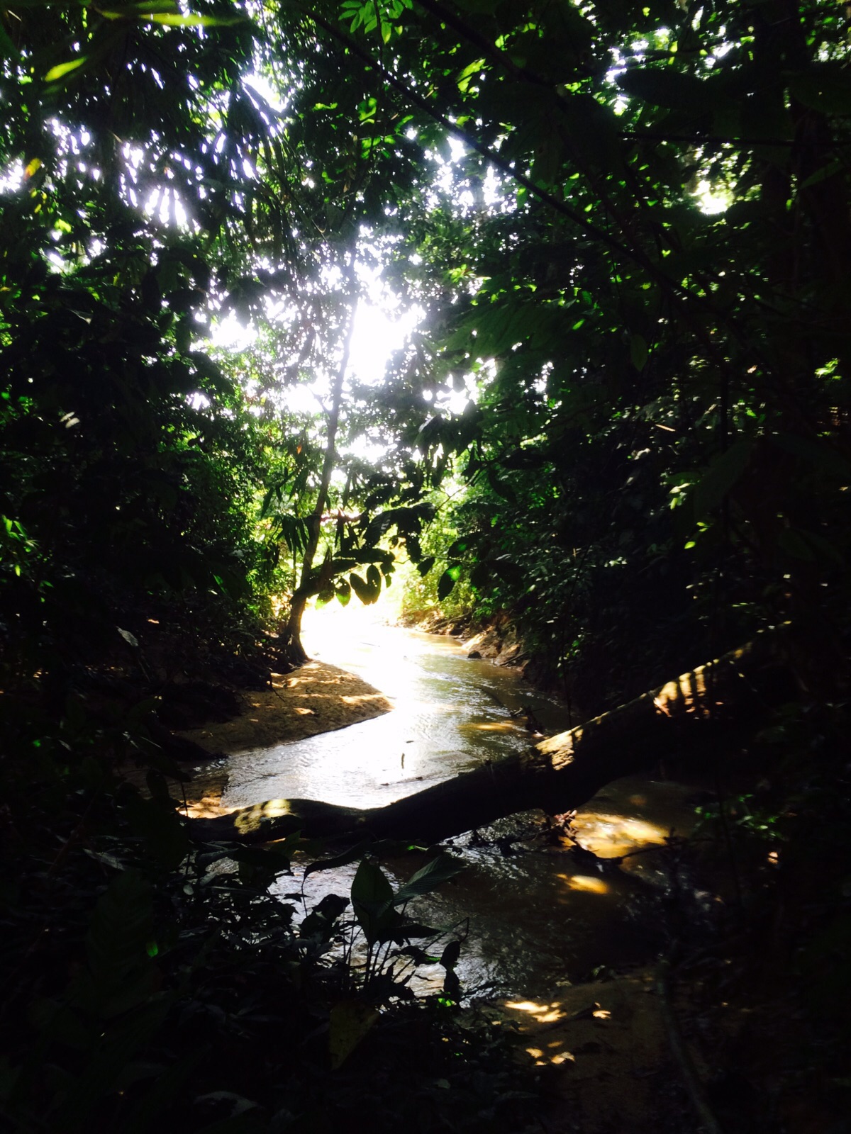 Outdoor Malaysia | N. Sembilan | Gua Batu Maloi Caving Package