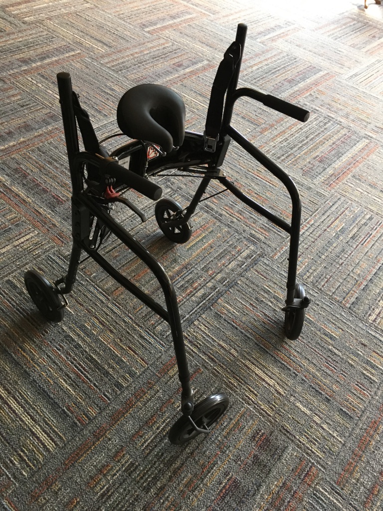 Thinking Upright by Dr. Cynthia "Cara" Polsley : Video Update: Working ...