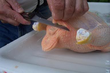 How ToButcher A Chicken: Step 7Open Up The Back End