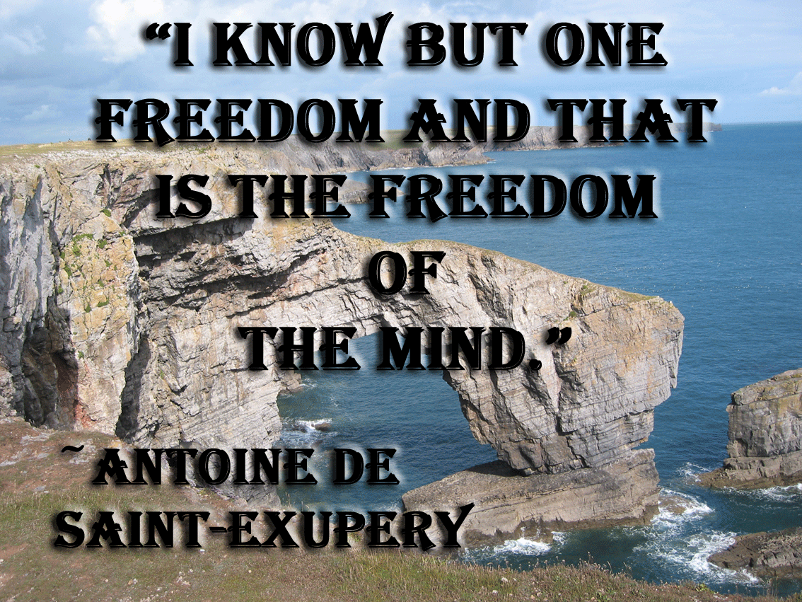 ~ IT'S ALL ABOUT AMBIVALENCE ~: FREEDOM QUOTE ~1