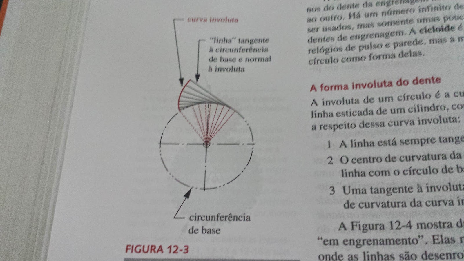 ICM Engenharia: A forma involuta