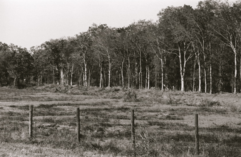 nattieconcepts: Ay Carumba! Viva Italia! - in Colombia, Cuba, and ...