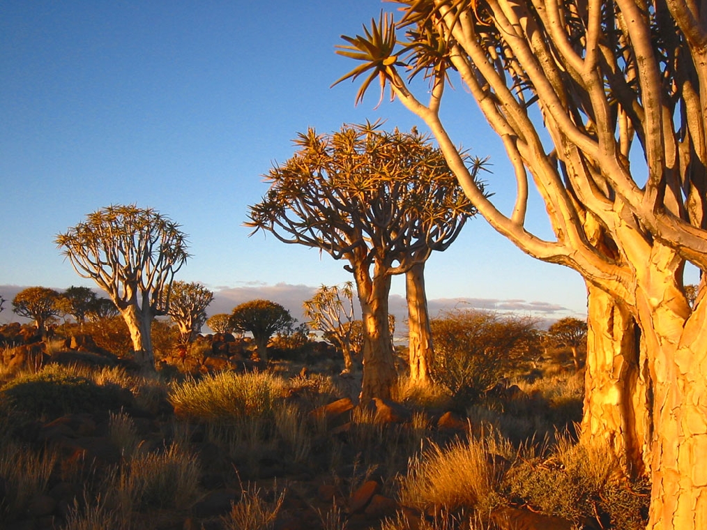 1001Places - Namibia Part 2, Wallpapers - 1001Places